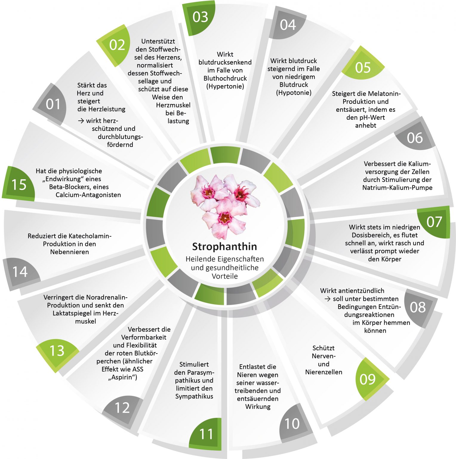 Mit der Kraft der Natur heilen – Weißdorn, Strophanthin & Co. als ...