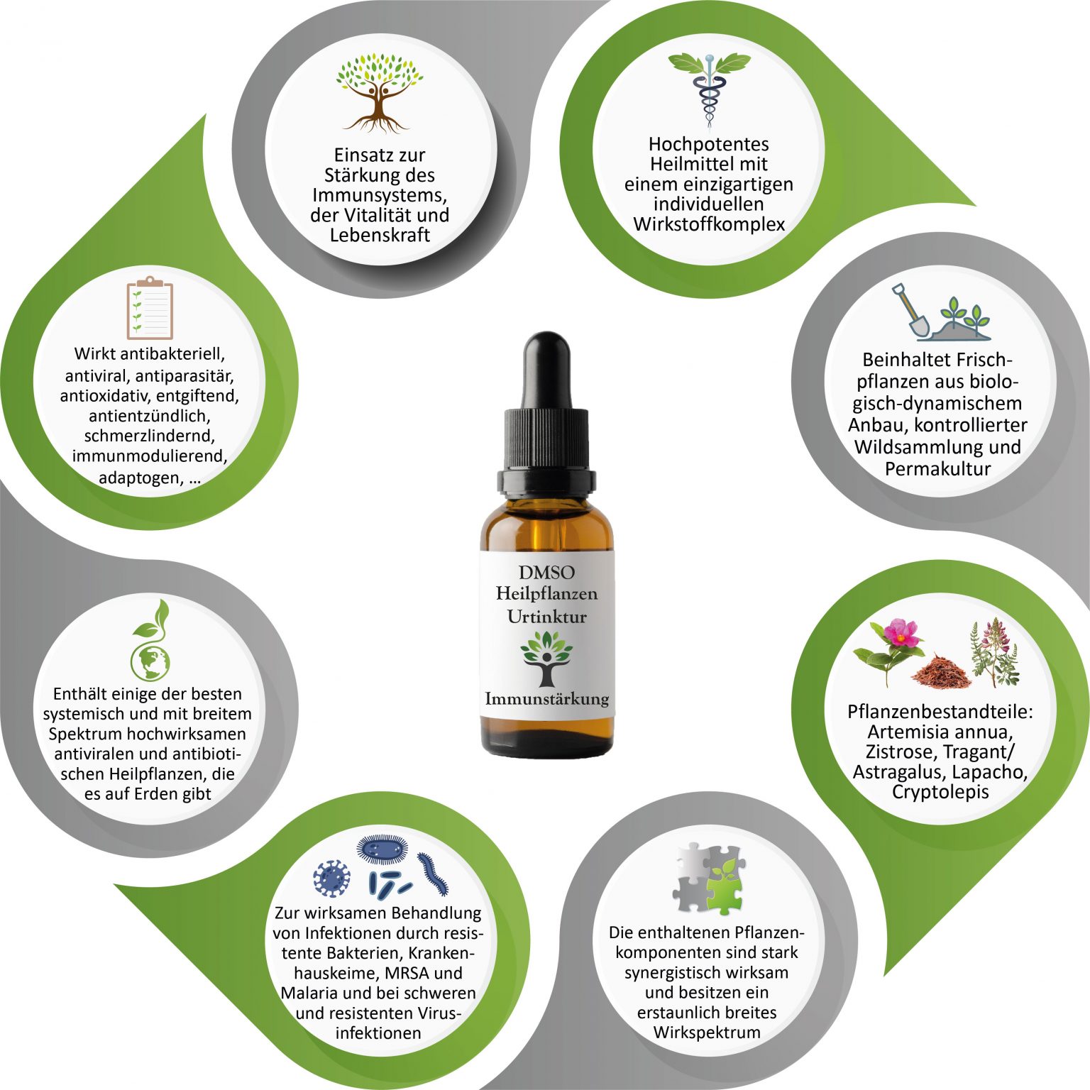 Neue Hoffnung bei Borreliose – Ganzheitlich integratives Therapieprogramm zur natürlichen ...