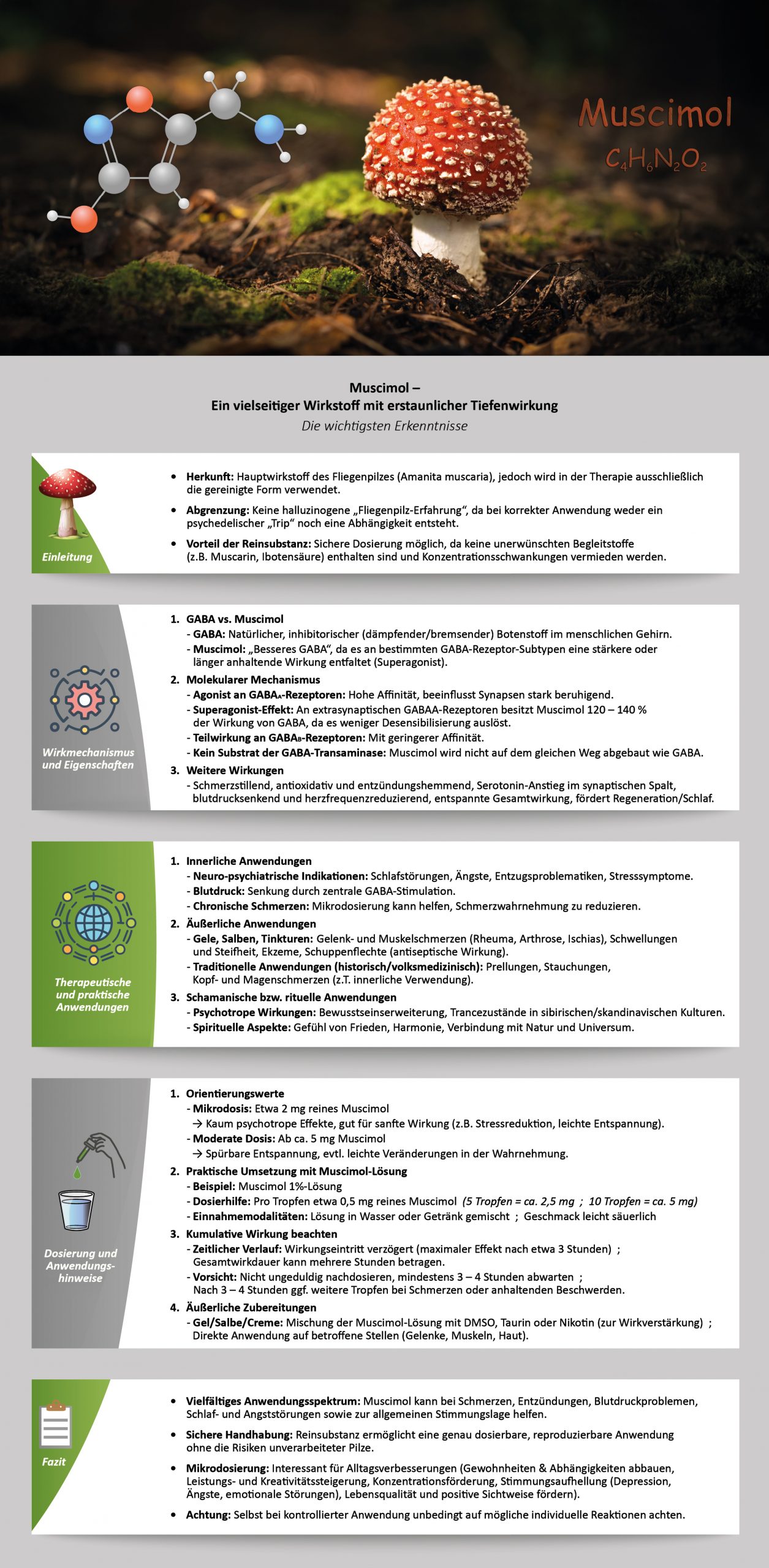 Muscimol – „Fliegen“ ohne Fliegenpilz - PraNatu