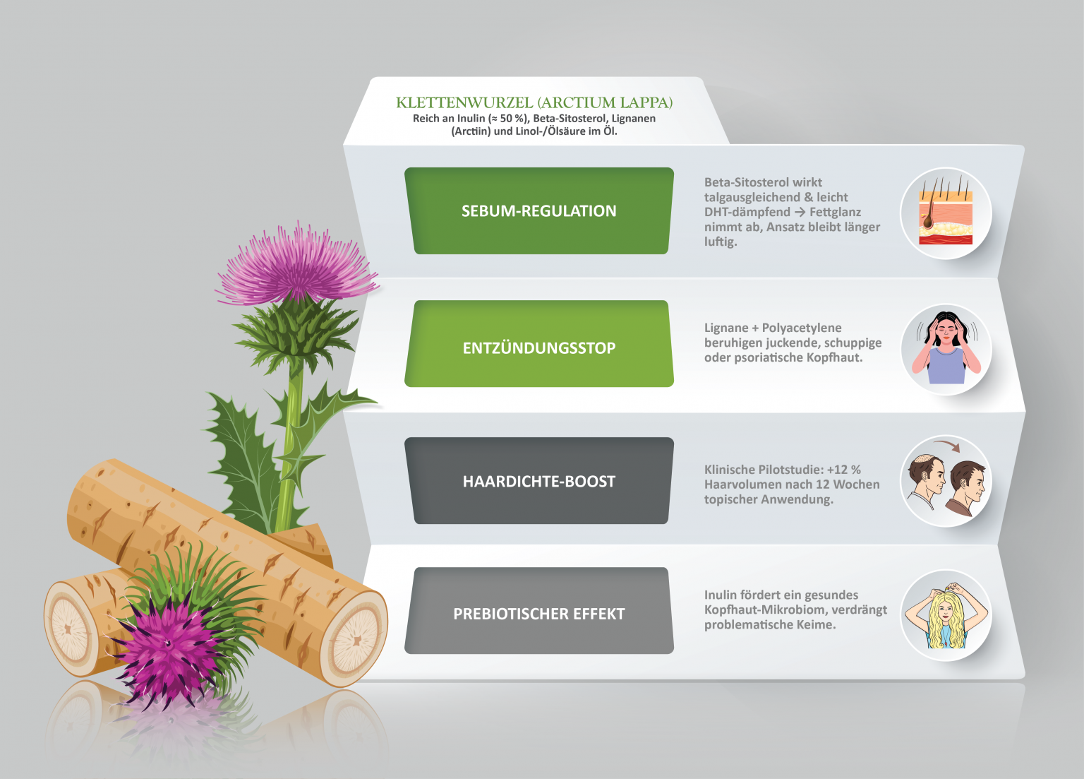 Haar‑Vital‑Tinktur (WurzelWunder) – Haarausfall stoppen, Wurzeln ...